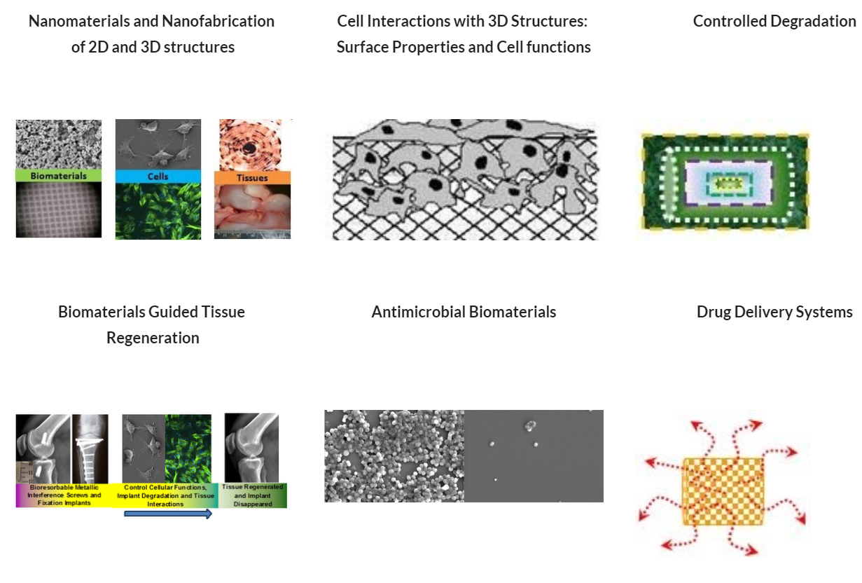 Research Area | Biomaterials & Nanomedicine Lab